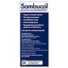 Sambucol Black Elderberry Original Immune Support Syrup Elderberry ...