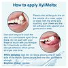 XyliMelts Dry Mouth Relief Discs Mild Mint | Walgreens