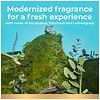 Irish Spring Deodorant Bar Soap for Men Original Clean | Walgreens