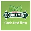Doublemint Slim Pack Gum | Walgreens