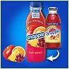 Snapple Fruit Punch Fruit Punch | Walgreens