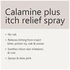 Walgreens Calamine Plus Itch Relief Spray | Walgreens
