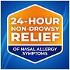 Nasacort Allergy 24 Hour Nasal Spray 60 Sprays | Walgreens