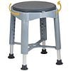 Walgreens Bath Stool w/Rotating Seat | Walgreens