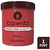 Talenti Sorbetto Roman Raspberry | Walgreens