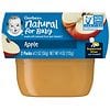 Gerber 1st Foods 1st Foods Natural Baby Food Apple | Walgreens