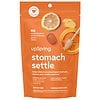UpSpring Stomach Settle Nausea Relief Drops Lemon, Ginger, Honey ...