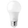 GLOBE Warm Light LED Light Bulb | Walgreens