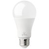 GLOBE Daylight LED Light Bulb | Walgreens