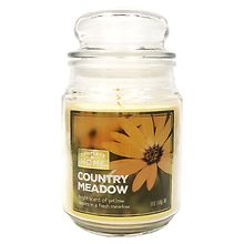 Complete Home Candle Country Meadow | Walgreens