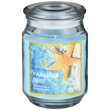 Modern Expressions Scented Candle Paradise Reef | Walgreens