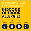 Astepro Allergy Antihistamine Nasal Spray | Walgreens