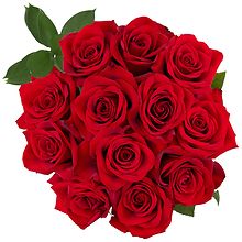 Falcon Farms Dozen Roses Floral Bouquet, Item Availability Varies By ...