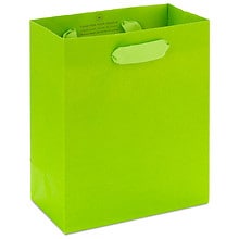 Hallmark Small Gift Bag Lime Green | Walgreens