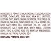 REESE'S Snack Size Peanut Butter Bats, Halloween Candy, Bag Milk ...