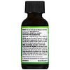 Walgreens Tea Tree Oil | Walgreens