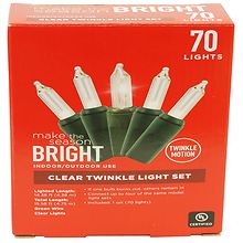 Festive Voice Clear Twinkle Light Set | Walgreens