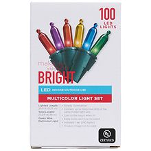 Festive Voice LED Indoor/Outdoor Light Set Multicolor | Walgreens