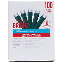 Festive Voice LED Indoor/Outdoor Battery Operated Light Set Cool White ...