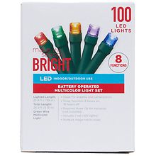 Festive Voice LED Indoor/Outdoor Battery Operated Light Set Multicolor ...