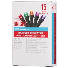 Festive Voice LED Indoor Battery Operated Multicolor Light Set | Walgreens