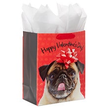 Hallmark Large Valentine's Day Gift Bag with Tissue Paper, Red XOXO ...