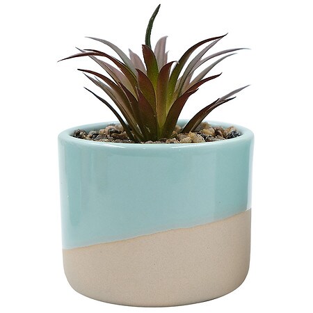 UPC 195602051823 - Festive Voice Pot Succulent - 1.0 ea | upcitemdb.com