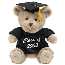 Modern Expressions Graduation Class of 23 Graduation Bear | Walgreens