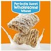 Frosted Mini Wheats Breakfast Cereal Original | Walgreens