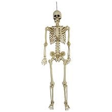Happy Halloween Skeleton 5 Feet Bone | Walgreens