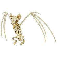 Festive Voice Bat Skeleton Bone | Walgreens