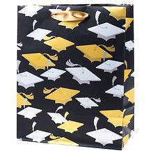 Hallmark Medium Graduation Gift Bag with Tissue Paper, Mortarboards ...