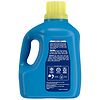 Xtra Detergent Crystal Clean | Walgreens