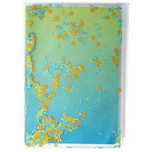 CR Gibson Notebook | Walgreens