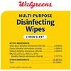 Walgreens Multi-Purpose Disinfecting Wipes | Walgreens
