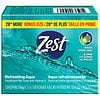 Zest Bar Soap Aqua | Walgreens