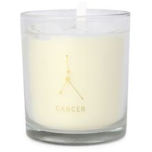 Modern Expressions Cancer Zodiac Candle | Walgreens