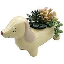 Festive Voice Dog Succulent | Walgreens