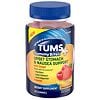 Tums Gummy Bites Dietary Supplement for Upset Stomach & Nausea Support ...