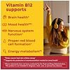 Nature Made Zero Sugar Energy Vitamin B12 Gummies Brain Support ...