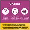 Nature Made Prenatal Multivitamins + Choline Capsules | Walgreens