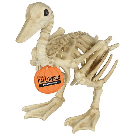 Festive Voice Happy Halloween Duck Skeleton | Walgreens