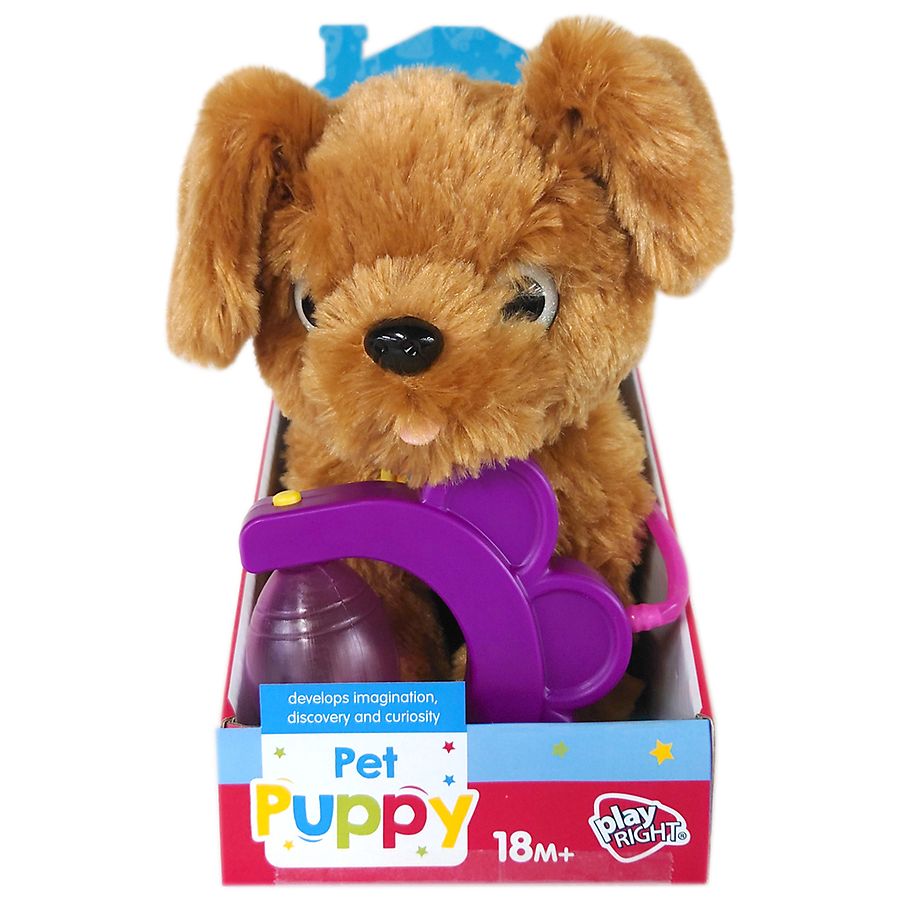 Playright Pet Puppy | Walgreens