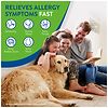 Alavert 24 Hour Allergy Relief, Orally Disintegrating Tablets Fresh ...