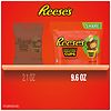 REESE'S Crunchy Peanuts Miniature Cups, Candy, Share Pack Milk Chocolate Peanut Butter | Walgreens
