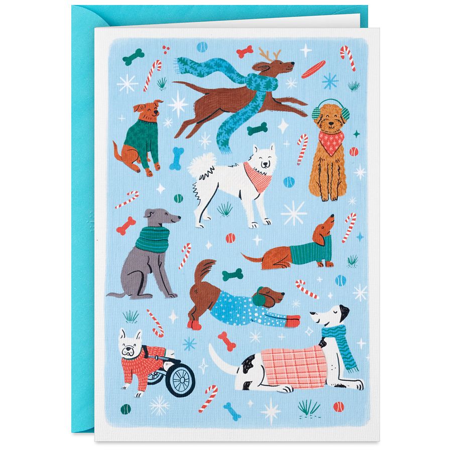 Hallmark Packaged Christmas Cards Festive Dogs on Blue | Walgreens